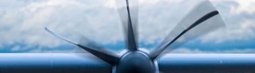 Fly Local NZ Campaign